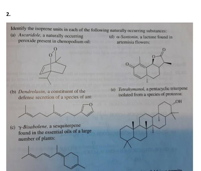 Solved 2. Identify the isoprene units in each of the | Chegg.com