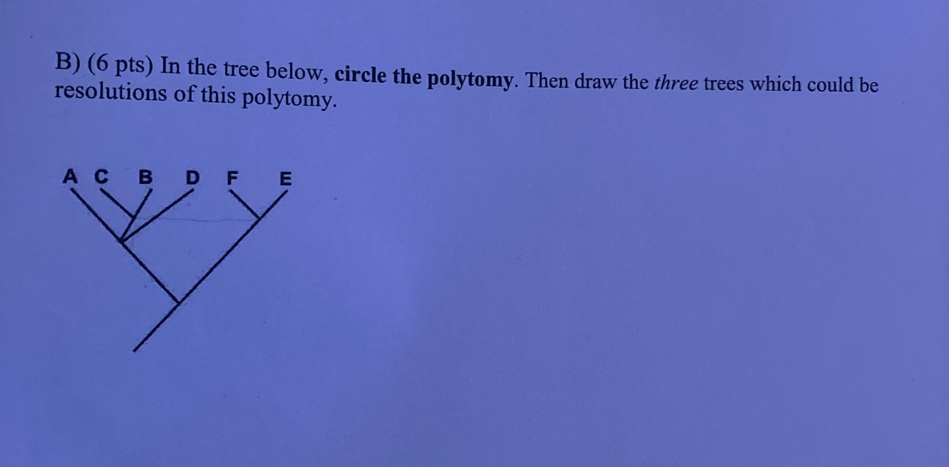 Solved B) (6 ﻿pts) ﻿In the tree below, circle the polytomy. | Chegg.com