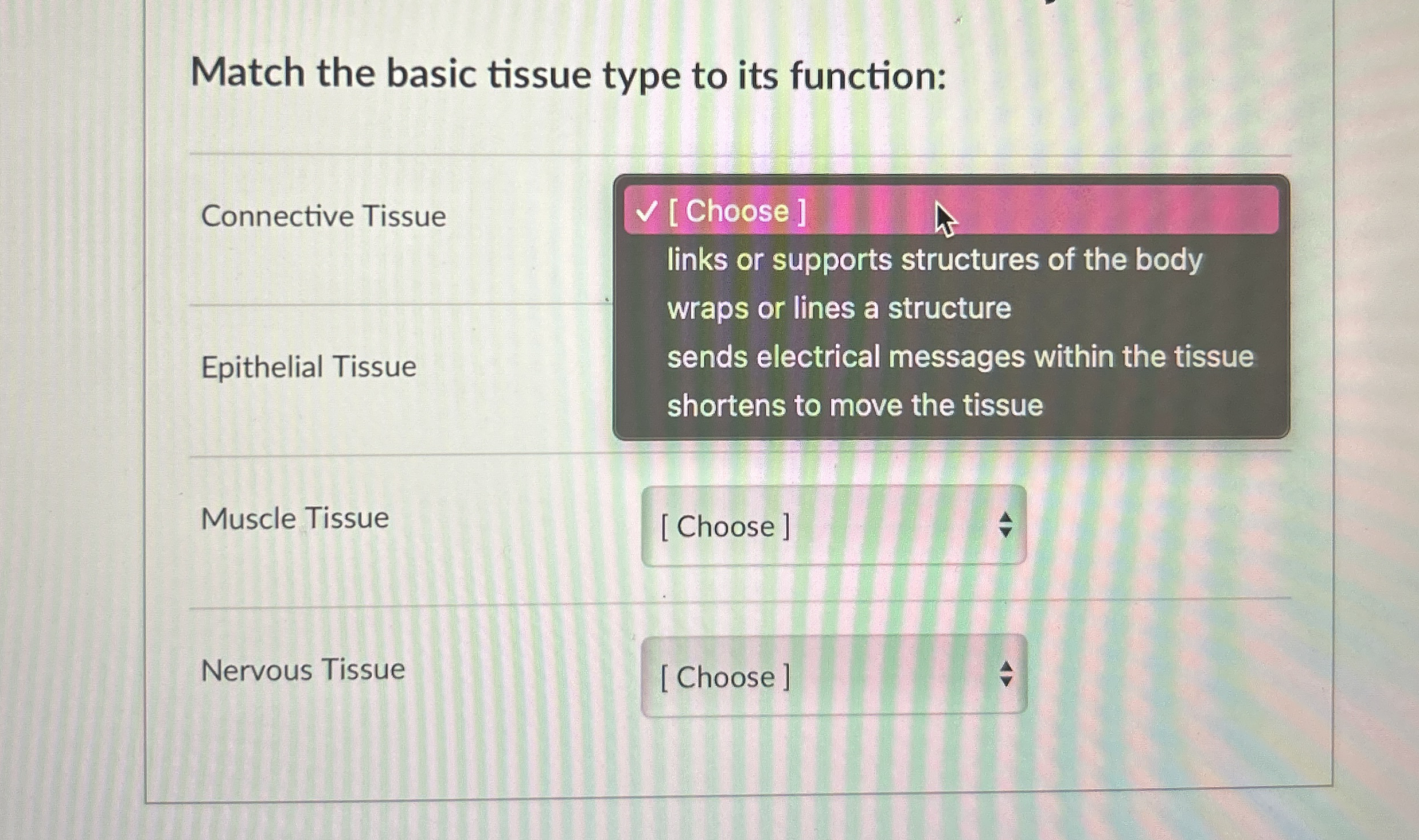 Solved Match the basic tissue type to its | Chegg.com