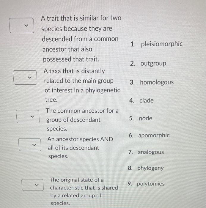 Solved A trait that is similar for two species because they | Chegg.com