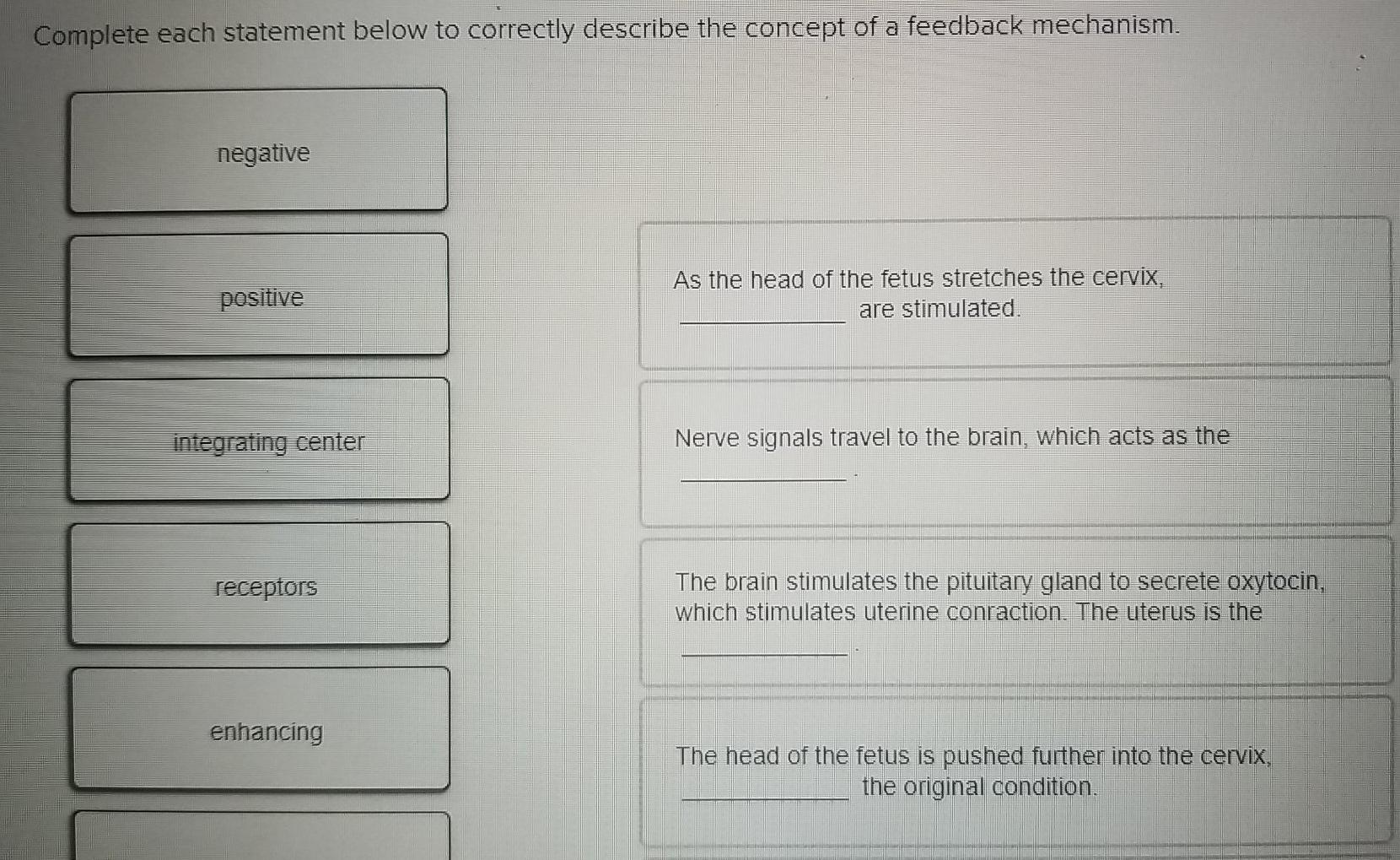 Solved Complete each statement below to correctly describe | Chegg.com