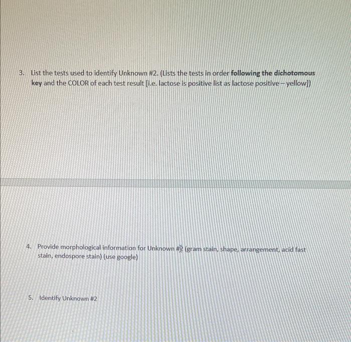 Solved Unki Test Gram stain Motility Indole MR VP Result Neg | Chegg.com