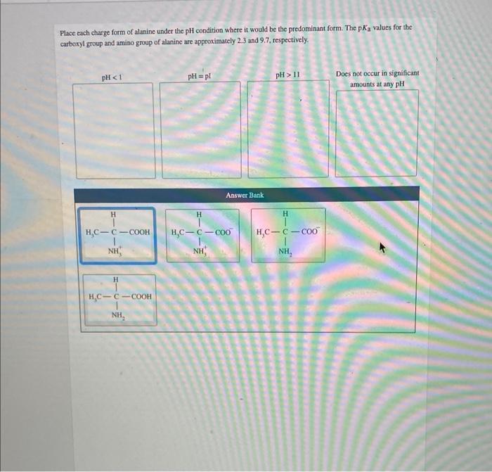 Solved Place each charge form of alanine under the pH | Chegg.com