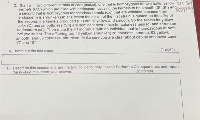 Solved 2. Start with two different strains of corn (maize), | Chegg.com