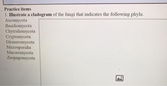 Solved Practice items 1. Illustrate a cladogram of the fungi | Chegg.com