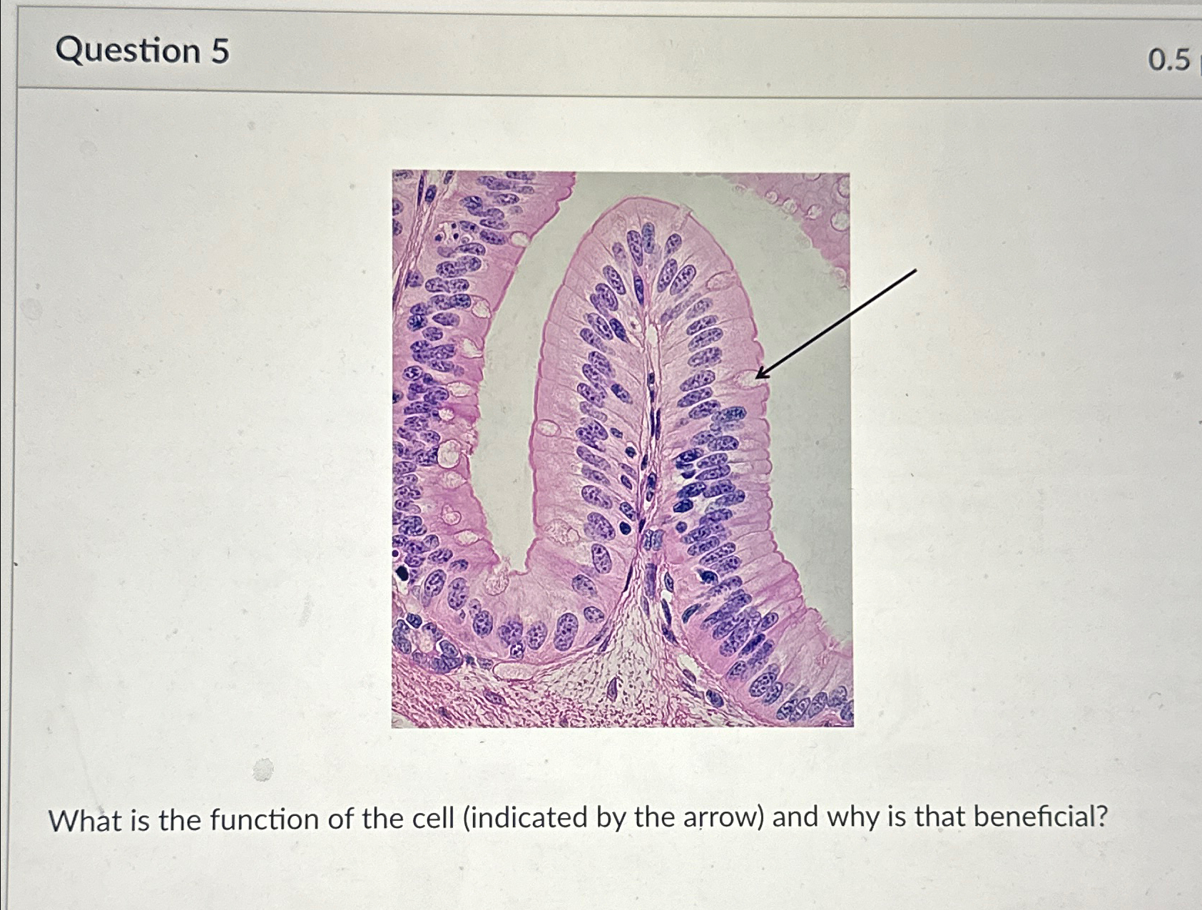 Solved Question 50.5What is the function of the cell | Chegg.com