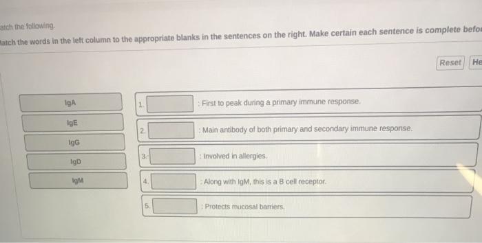 Solved atch the following Match the words in the left column | Chegg.com