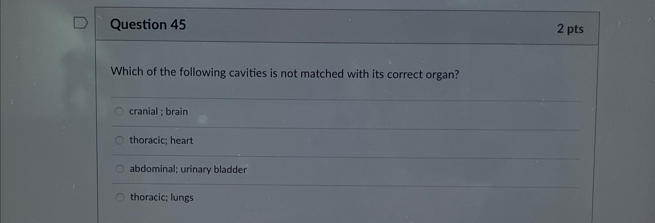 Solved Question 452 ﻿ptsWhich of the following cavities is | Chegg.com