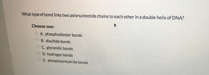 Solved What type of bond links two polynucleotide chains to | Chegg.com