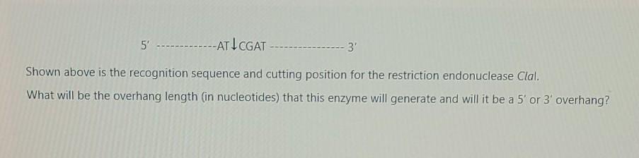 Solved 5 --- -ATI CGAT 3 Shown above is the recognition | Chegg.com
