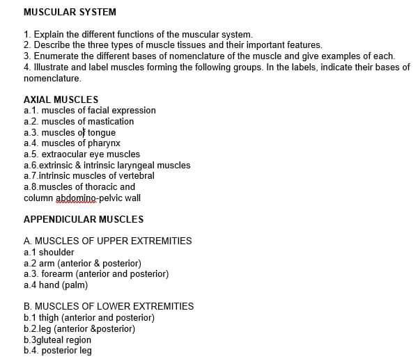Solved MUSCULAR SYSTEM 1. Explain the different functions of | Chegg.com