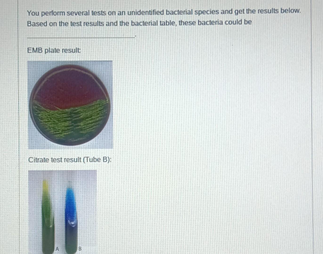 Solved You perform several tests on an unidentified | Chegg.com