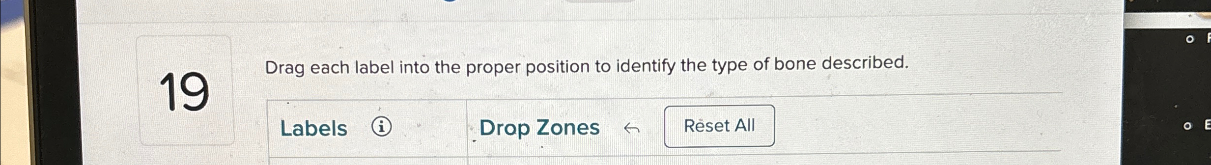 Solved 19Drag each label into the proper position to | Chegg.com