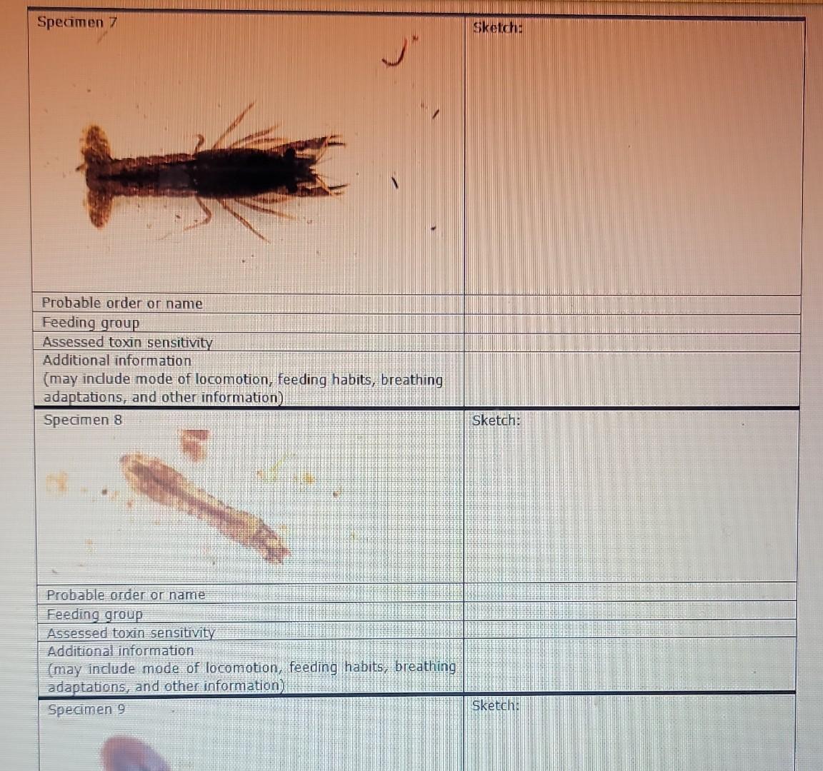 Solved Macroinvertebrates and Water Quality 3. Why are | Chegg.com