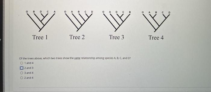 Solved Tree 1 Tree 2 Tree 3 Tree 4 of the trees above, which | Chegg.com