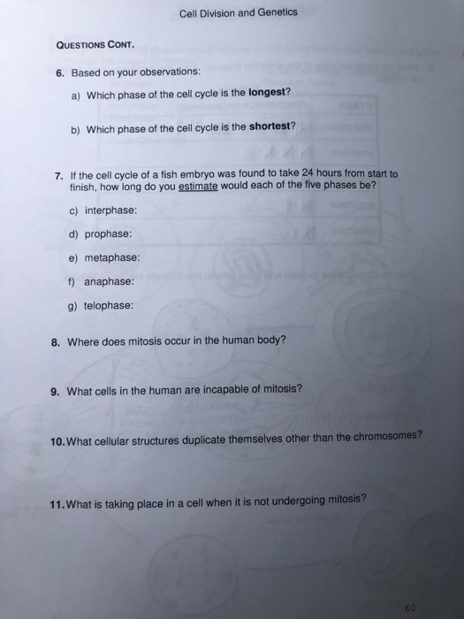 Solved Cell Division and Genetics QUESTIONS CONT. 6. Based | Chegg.com