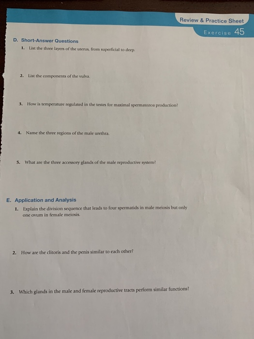 Solved Review & Practice Sheet Exercise 36 E. Application | Chegg.com