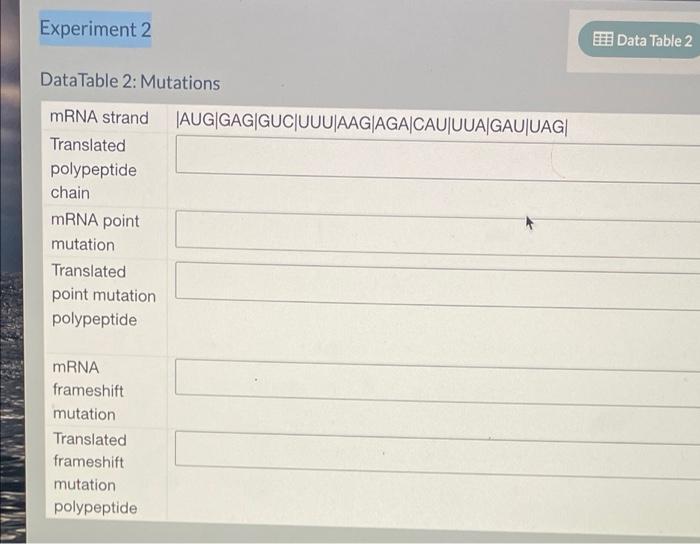 Solved Experiment 2 EF Data Table 2 DataTable 2: Mutations | Chegg.com