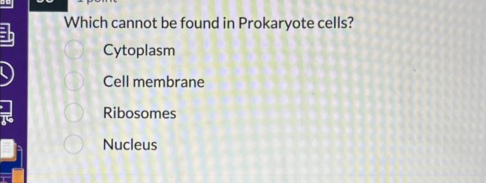 Solved Which cannot be found in Prokaryote | Chegg.com