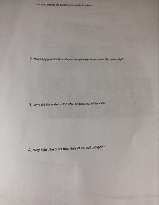 Solved vacuate. Identity the functions for each structure 2. | Chegg.com