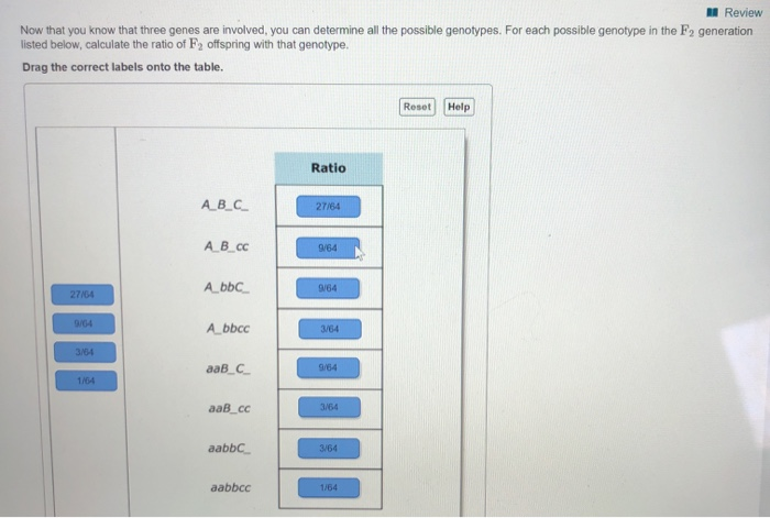 Solved If Gene C is epistatic to Gene B, and Gene B is | Chegg.com