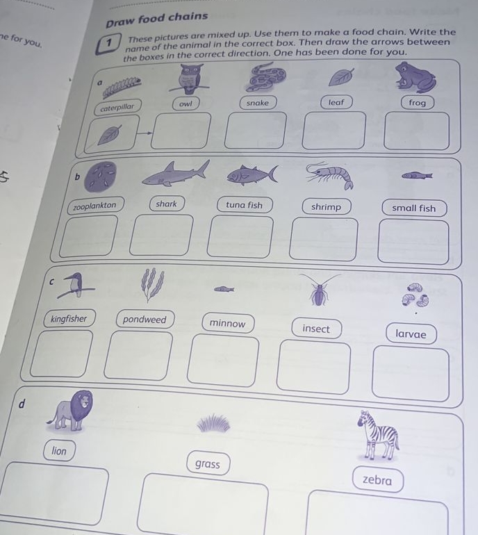 Solved Draw food chainsThese pictures are mixed up. ﻿Use | Chegg.com