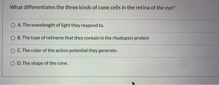 Solved What differentiates the three kinds of cone cells in | Chegg.com