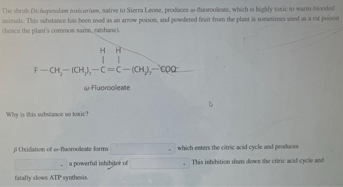 Solved 1. fluroacetyl-CoA, acetyl-CoA, or | Chegg.com