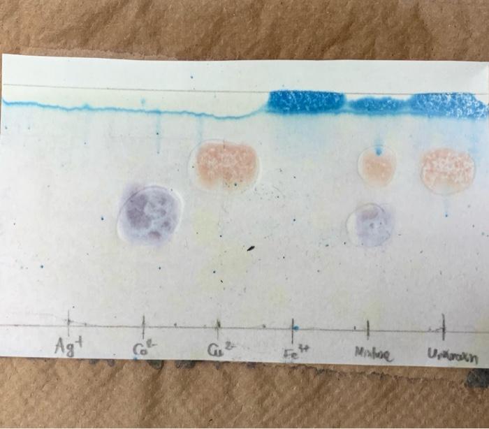 Solved Equation 1 Rf= distance spot travels distance solvent | Chegg.com