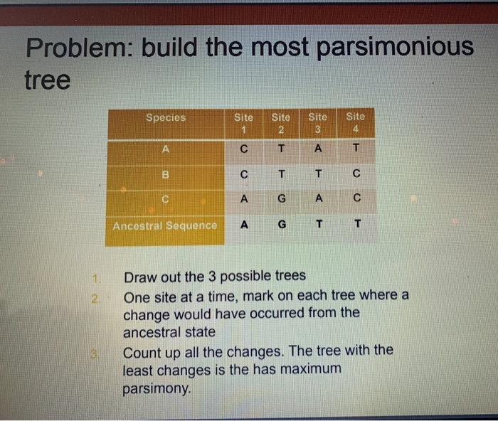 Solved Could someone explain how to build a parsimonious | Chegg.com