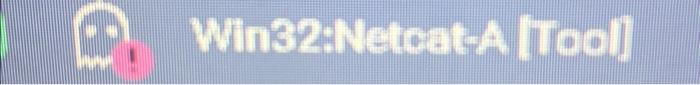 Solved Win32:Netcat-A [Too]] | Chegg.com