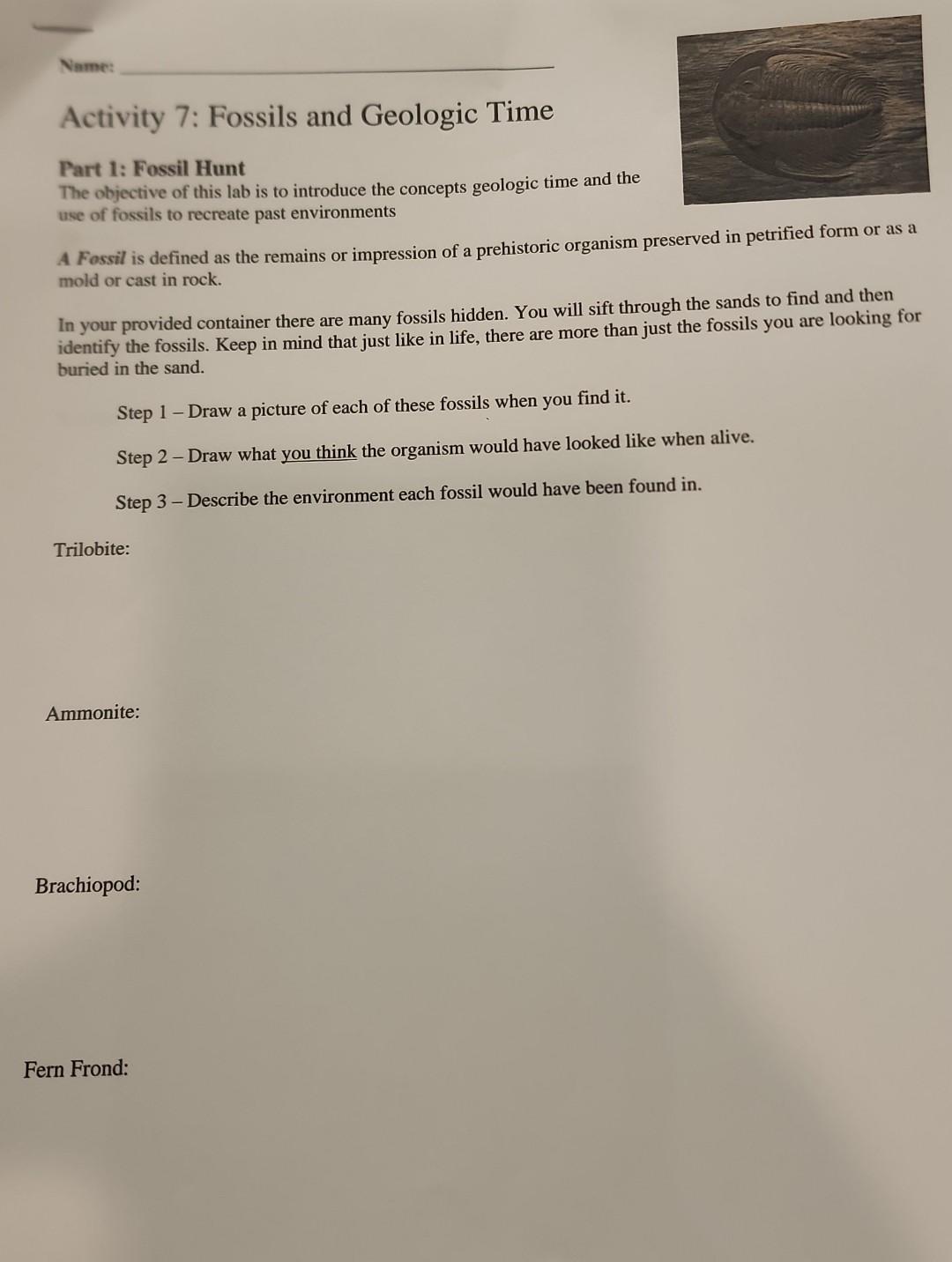 Solved Namme: Activity 7: Fossils and Geologic Time Part 1: | Chegg.com