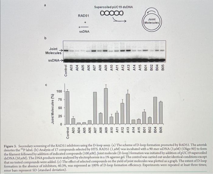 Solved 4. The following questions are about the D-loop | Chegg.com