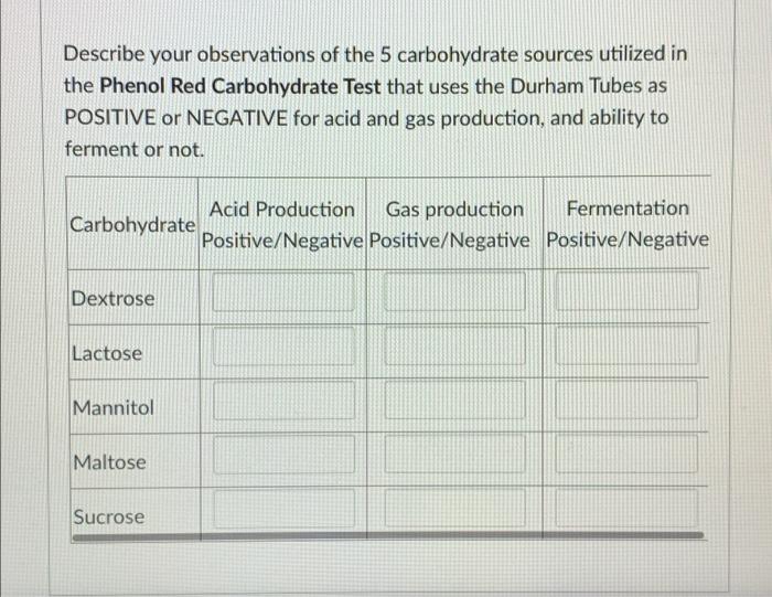 Solved Dextrose Durham Tube Phenol Red Carbohydrate Test | Chegg.com