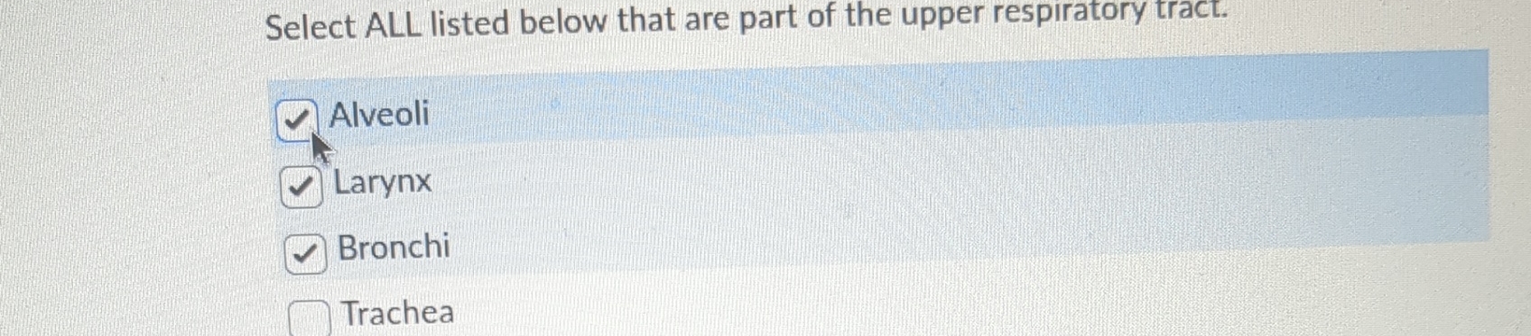 Solved Select ALL listed below that are part of the upper | Chegg.com