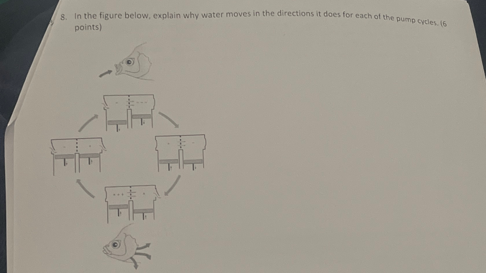 Solved In the figure below, explain why water moves in the | Chegg.com