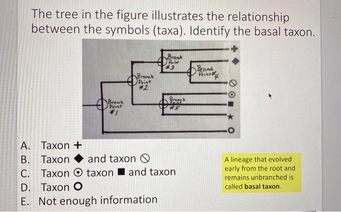 Solved The tree in the figure illustrates the relationship | Chegg.com