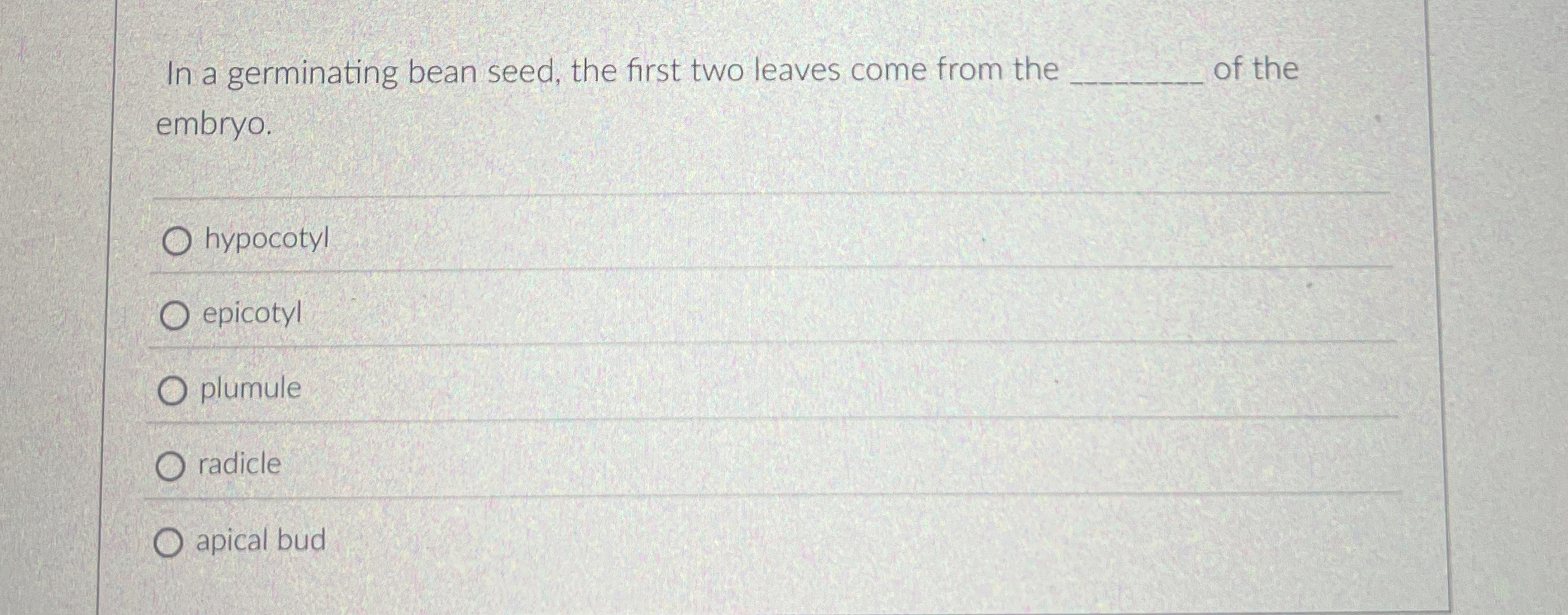 In a germinating bean seed, the first two leaves come | Chegg.com