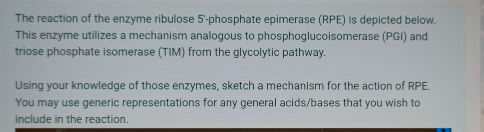 Solved The reaction of the enzyme ribulose 5'-phosphate | Chegg.com