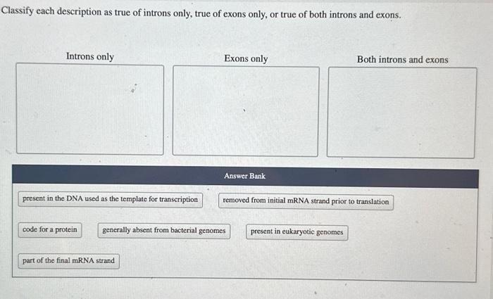 Solved Classify each description as true of introns only, | Chegg.com