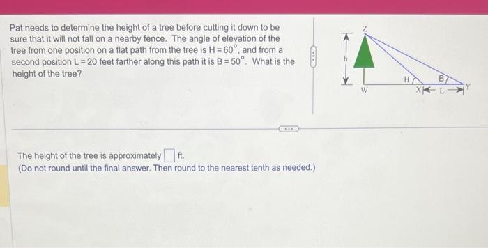 Solved Pat needs to determine the height of a tree before | Chegg.com