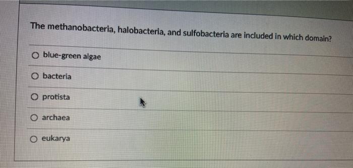 Solved The methanobacteria, halobacteria, and sulfobacteria | Chegg.com