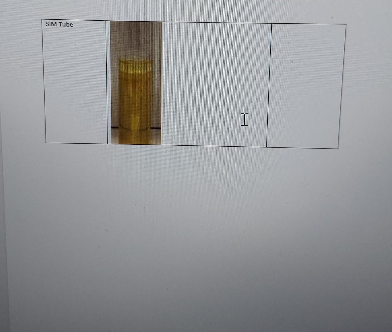 Solved Laboratory Unknown Assignment The goal of this | Chegg.com