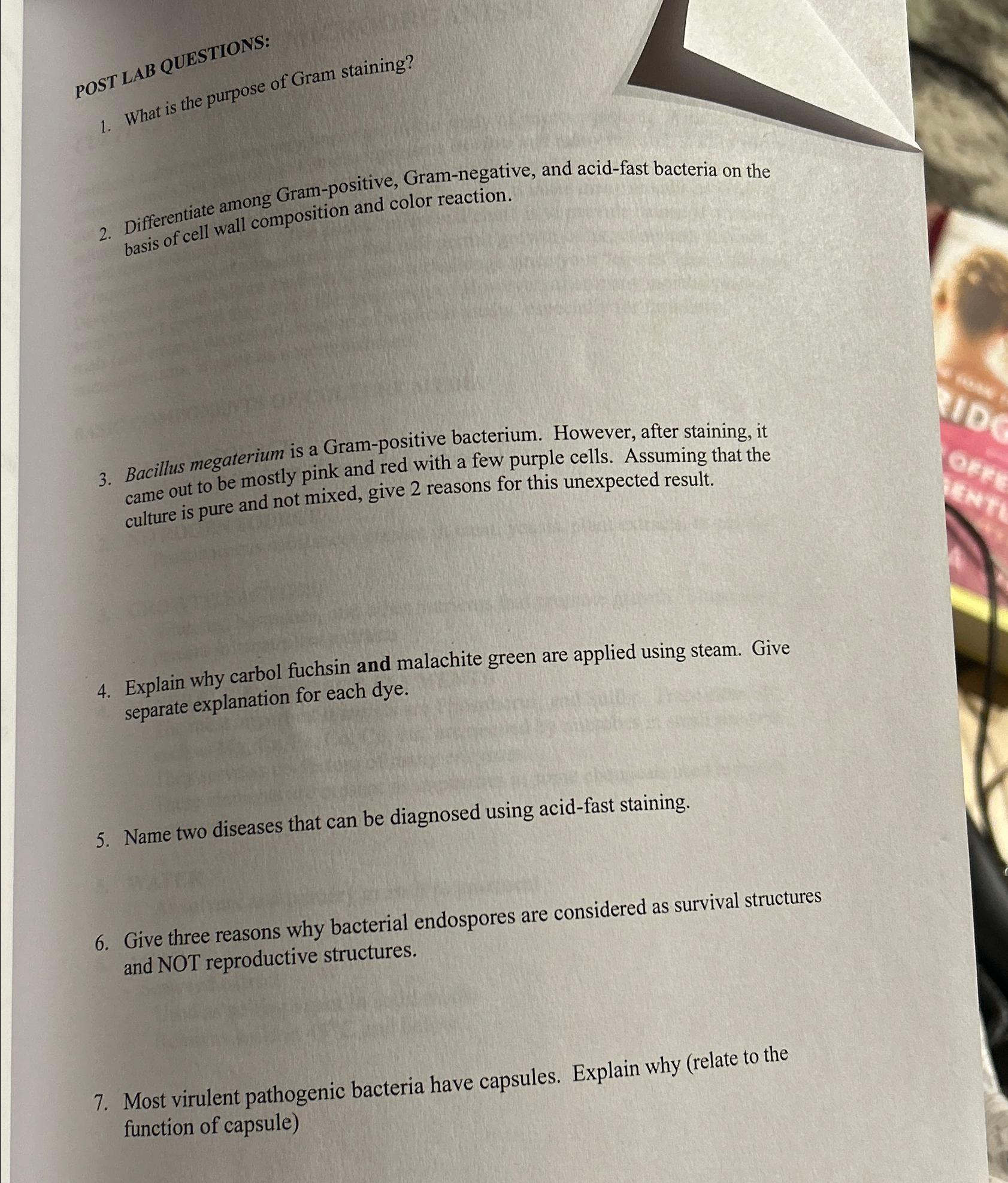 Solved POST LAB QUESTIONS:What is the purpose of Gram | Chegg.com