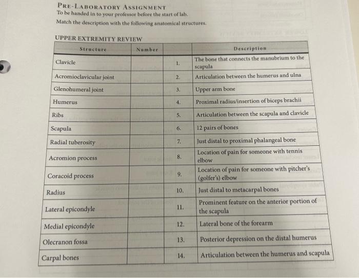 Solved PRE-LABORATORY ASSIGNMENT To be handed in to your | Chegg.com