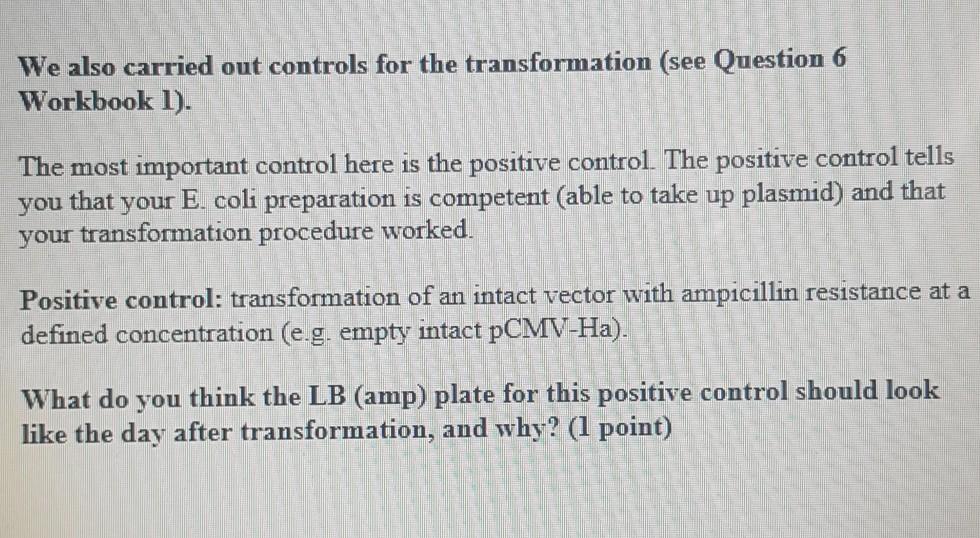 We also carried out controls for the transformation | Chegg.com