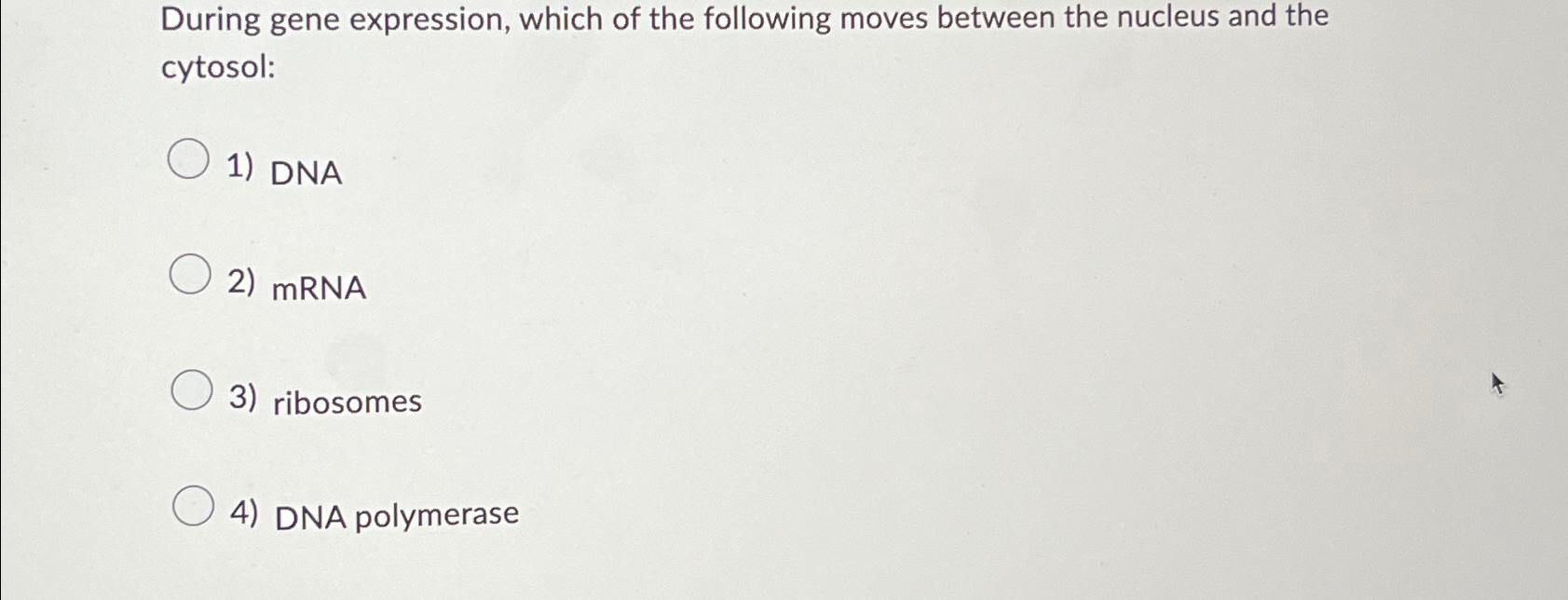 Solved During gene expression, which of the following moves | Chegg.com