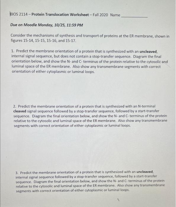 BIOS 2114 - Protein Translocation Worksheet - Fall | Chegg.com