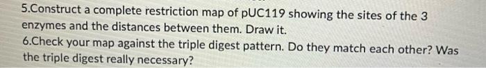 Solved 5construct A Complete Restriction Map Of Puc119 3677