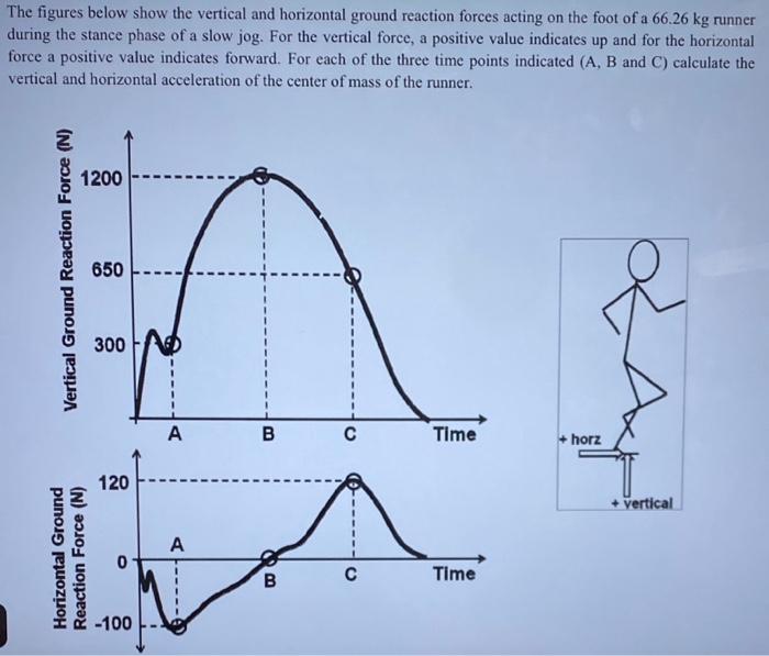 Solved The figures below show the vertical and horizontal | Chegg.com